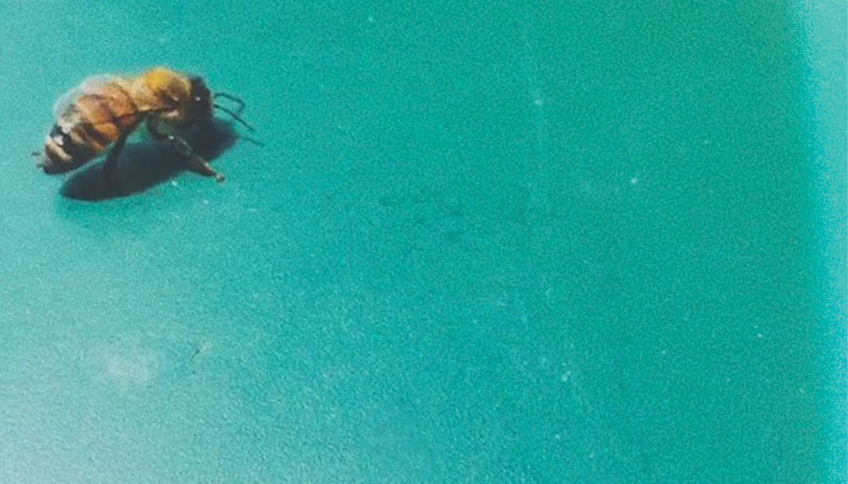 The Rocket Summer’s distinct sound will cause 'Sweet Shivers' | Review