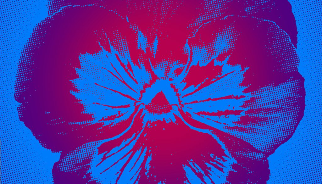 Hanson turns the clock back with 'Perennial' | ALBUM REVIEW