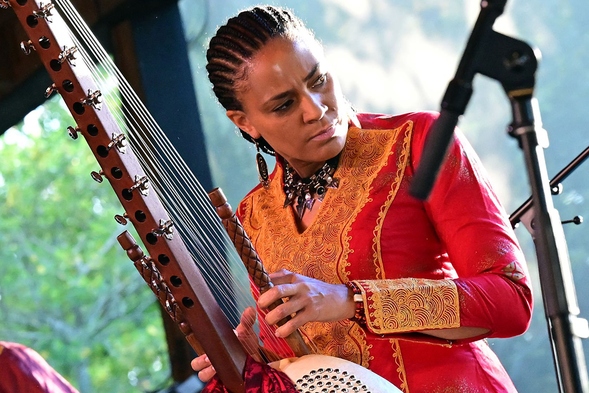 Interview: Kora master Sona Jobarteh on education reform in Africa ...