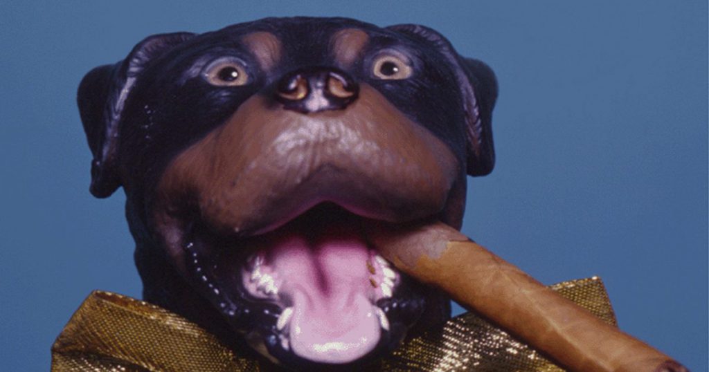 Triumph the Insult Comic Dog poops on Weird Al at Sketchfest