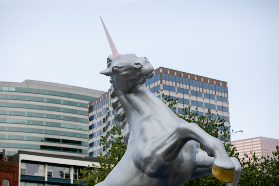 Project Pabst: Portland and Pabst Blue Ribbon find their groove